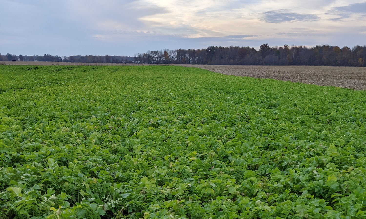 How Sustainable Agriculture Can Combat Drought and Creates Resilient ...